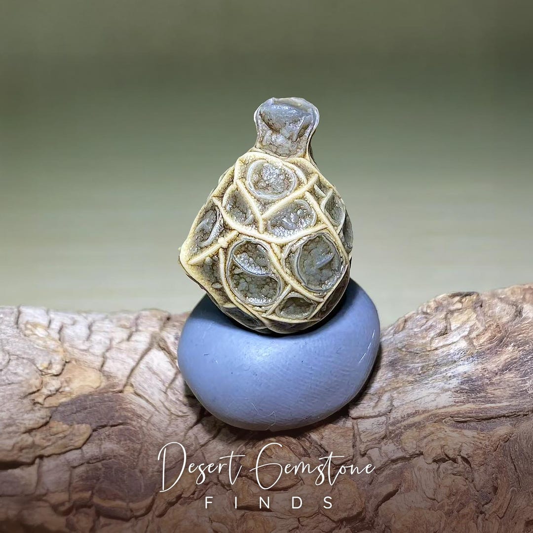 Alxa Gobi Agate – Rare, Natural Gobi Desert Agate With Forest Green ...