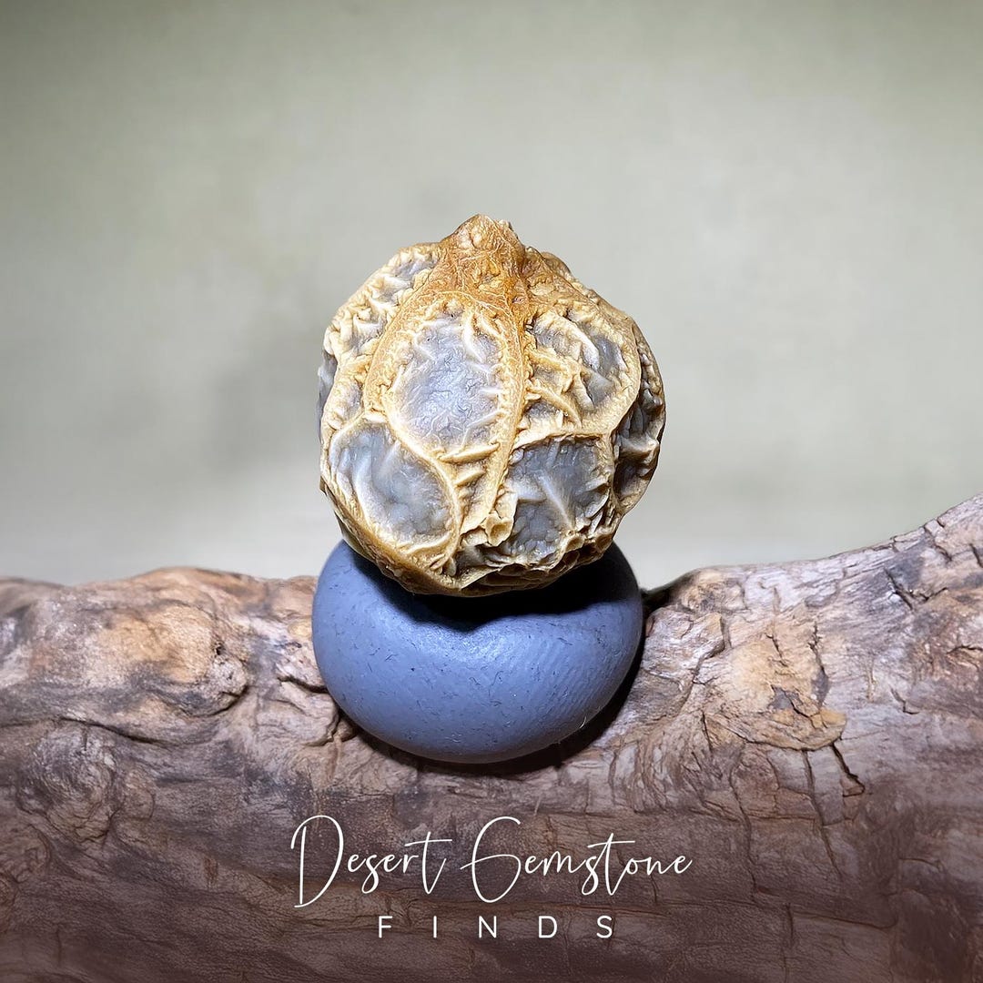 Alxa Gobi Desert Floral Vein Agate – Rare Natural Fruit-like Agate With ...