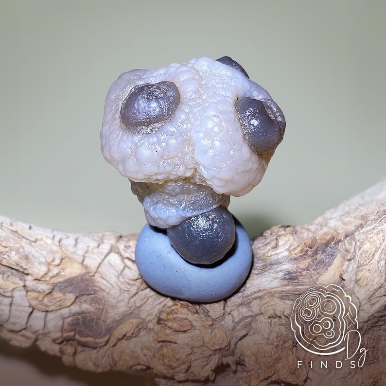 Alxa Gobi Desert “panda”agate–rare Figurative Agate Stone With ...