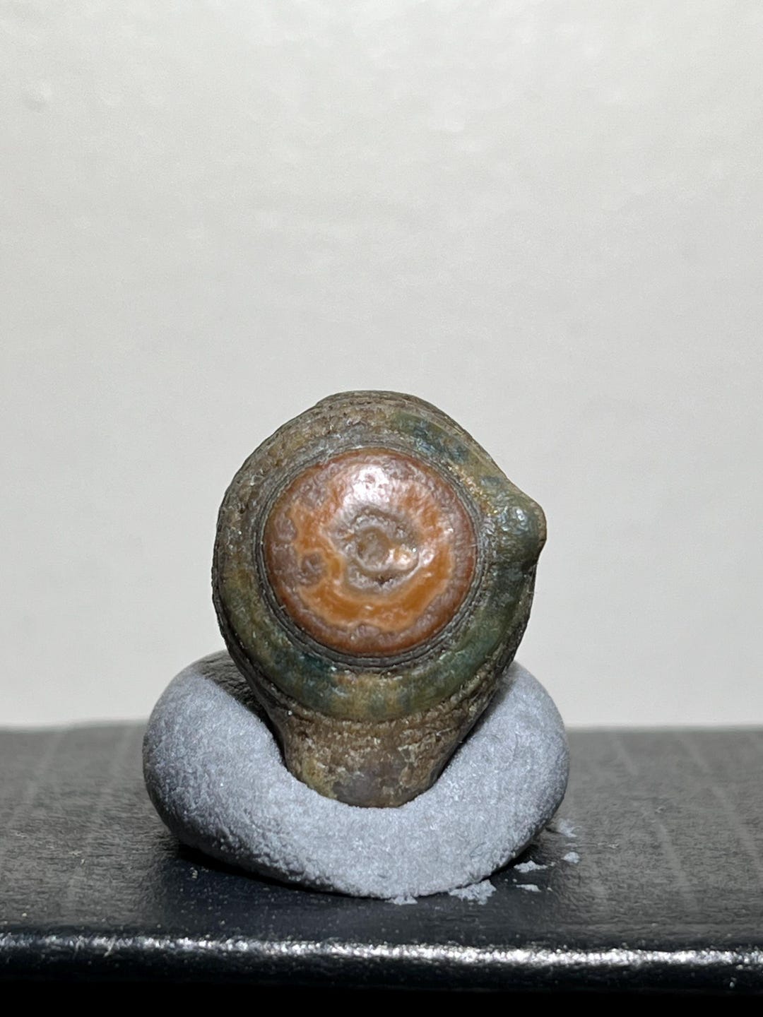 Alxa Gobi Agate – Rare Natural Gobi Desert Agate With Orange Orbicular ...