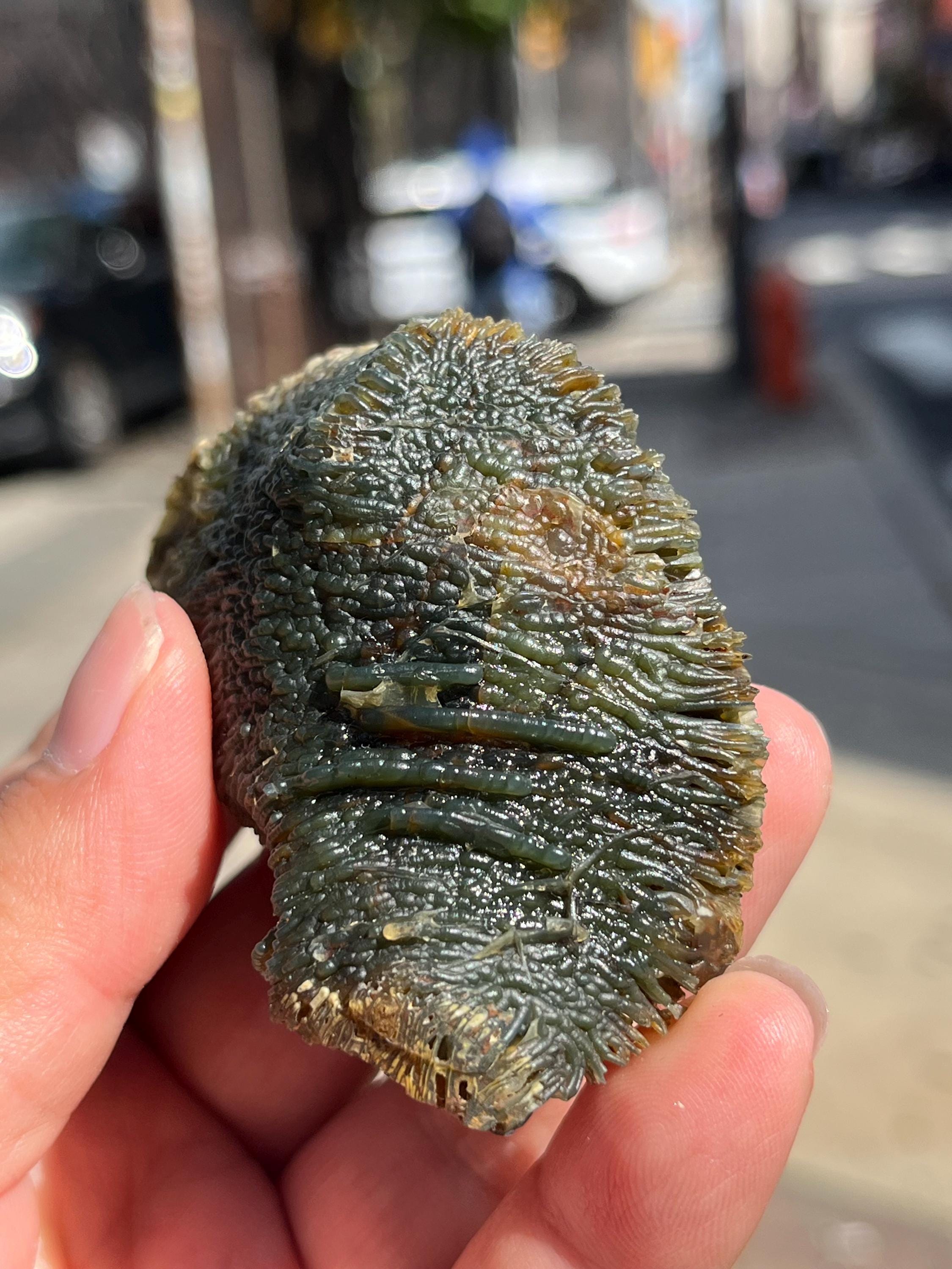 Alxa Gobi Stone – Natural and Rare Agatized Fossil Coral With Green ...