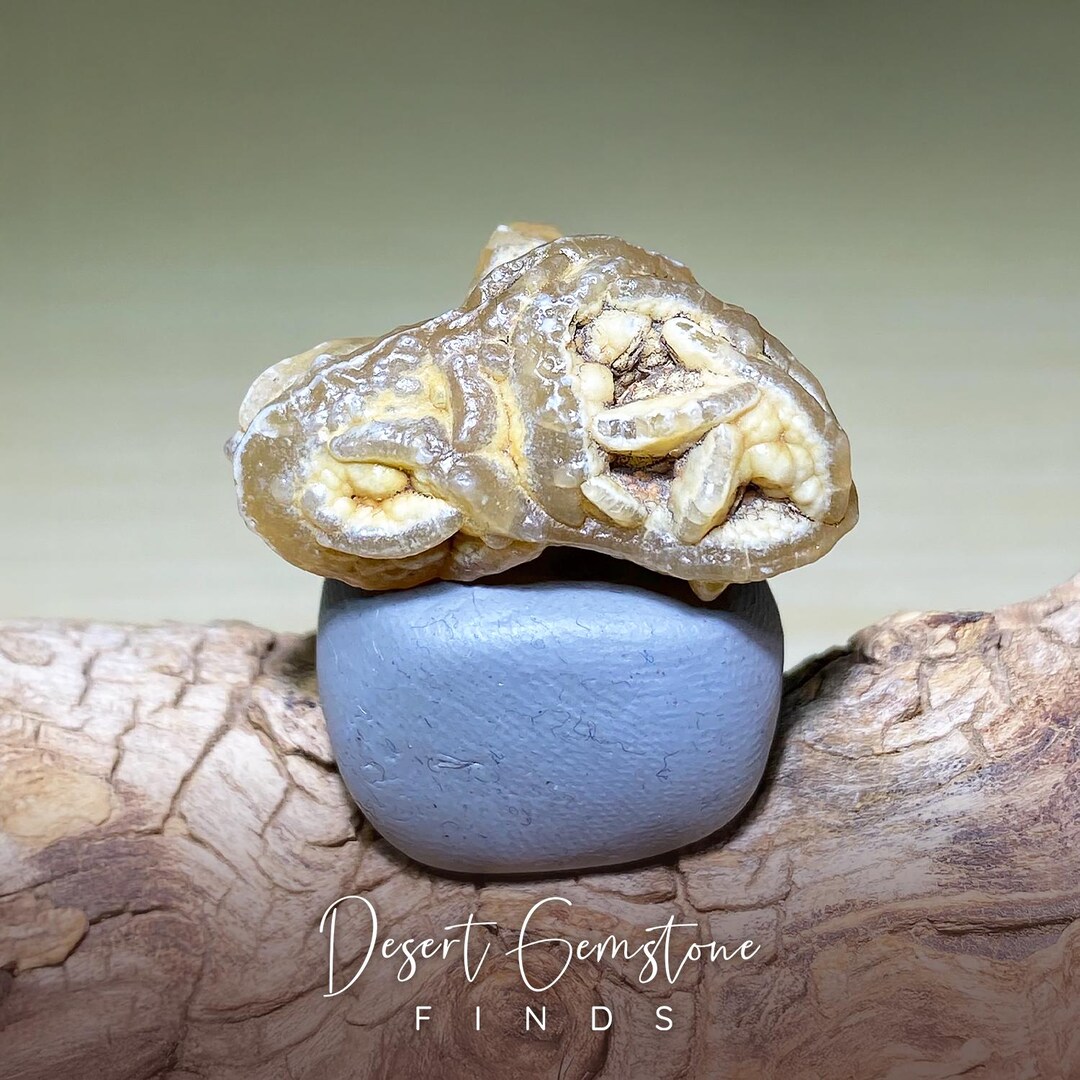 Alxa Gobi Desert Etched Vein Agate – Rare Natural Mongolian Agate With ...