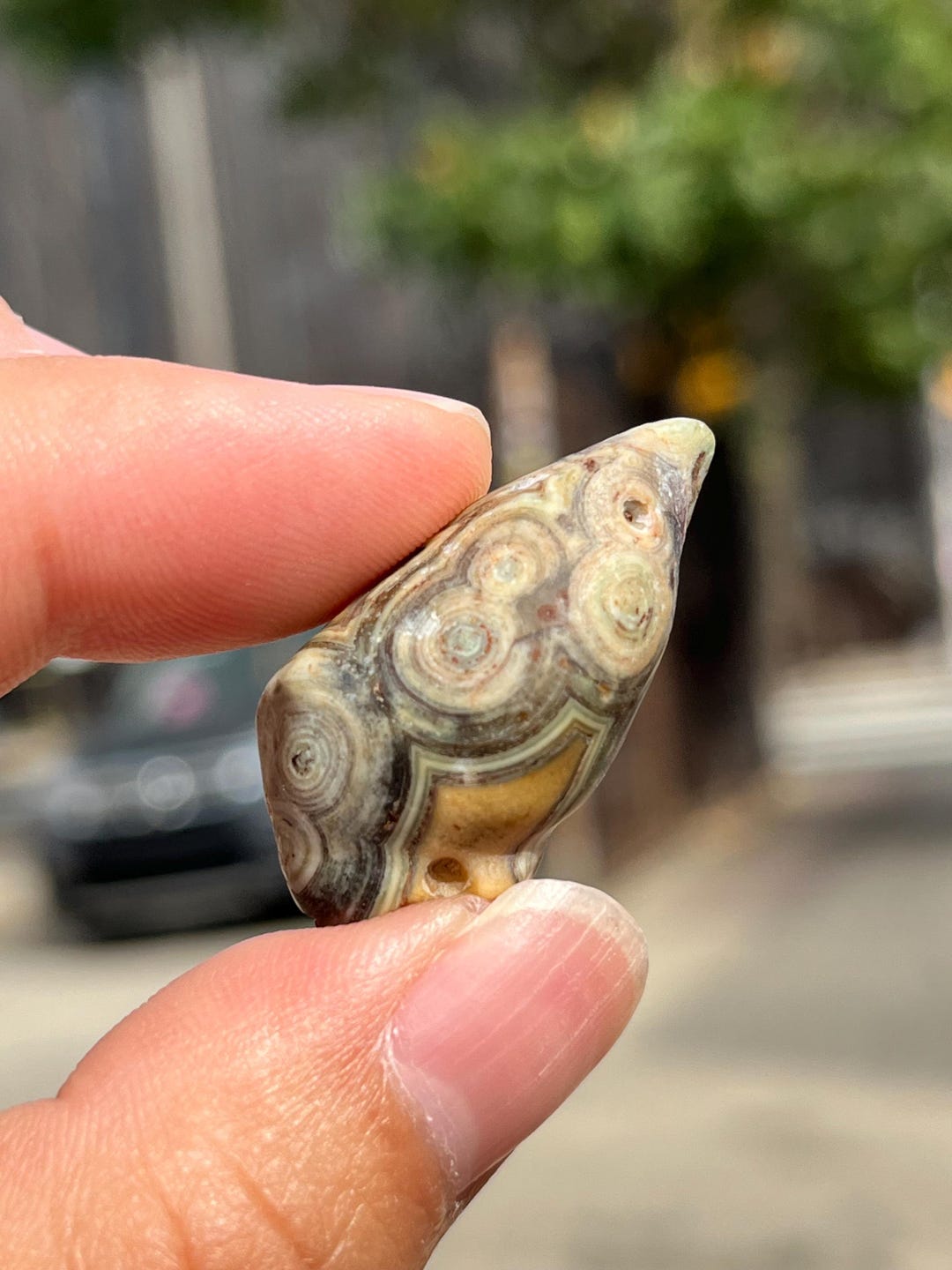 Alxa Gobi Desert Eye Agate, Mongolian Gobi Eye Stone, Rough Eye Agate ...