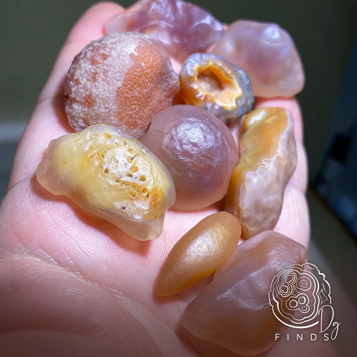 Alxa Gobi Desert Large Sugar Heart Agate Collection– Rare Natural ...