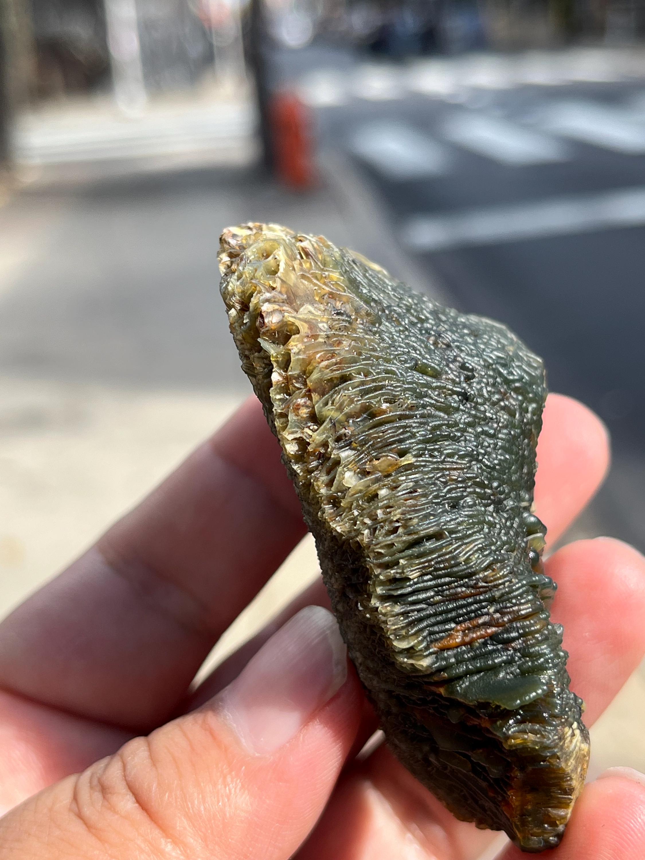 Alxa Gobi Stone – Natural and Rare Agatized Fossil Coral With Green ...