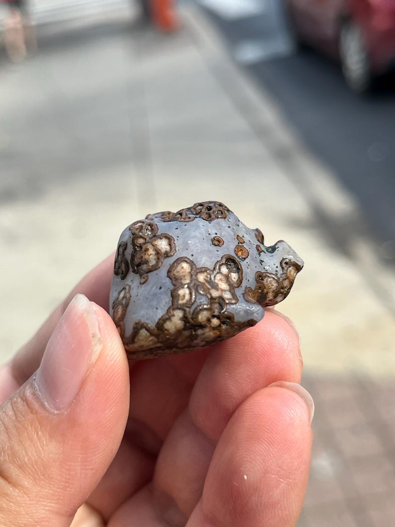 Alxa Gobi Desert Agate, Mongolian Gobi Eye Stone, Rough Eye Agate ...