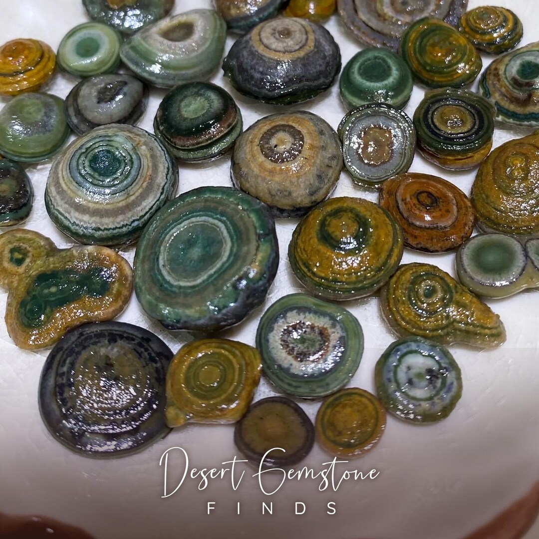 Alxa Gobi Eye Desert Agate Assorted Rare Mongolian Gemstones in Various ...
