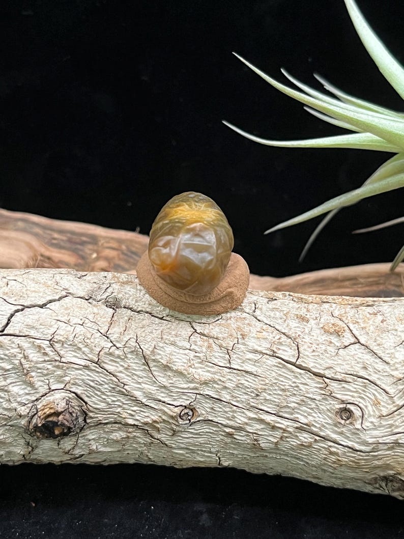 Alxa Gobi Desert Agate: Spider Web Veins, Caramel Stone - Etsy
