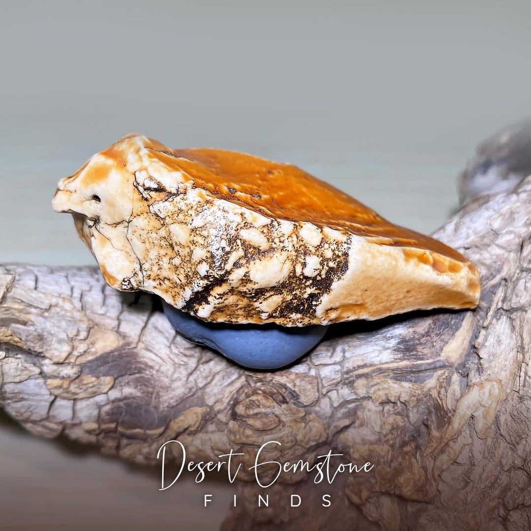 Alxa Gobi Desert Bird-shaped Figurative Stone – Rare Natural Desert ...