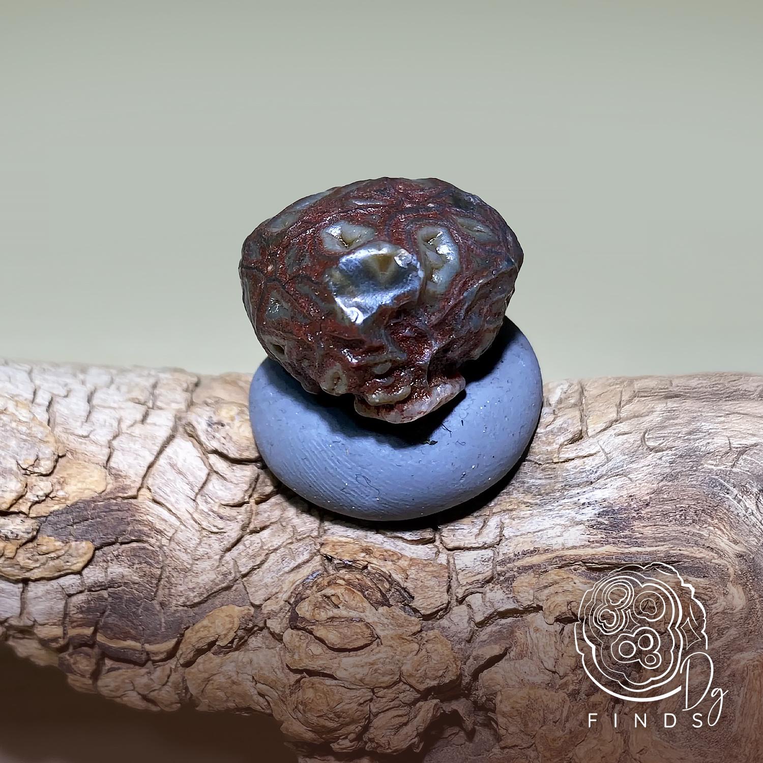 Alxa Gobi Desert Early Vein Agate – Rare Natural Mongolian Stone With ...