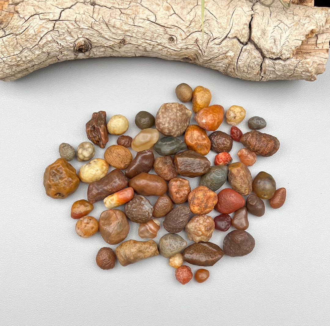 Alxa Gobi Desert Vein Agate Collection – Assorted Rare Mongolian Agates ...