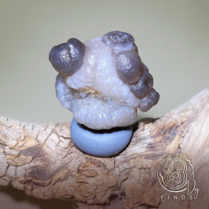 Alxa Gobi Desert “panda”agate–rare Figurative Agate Stone With ...