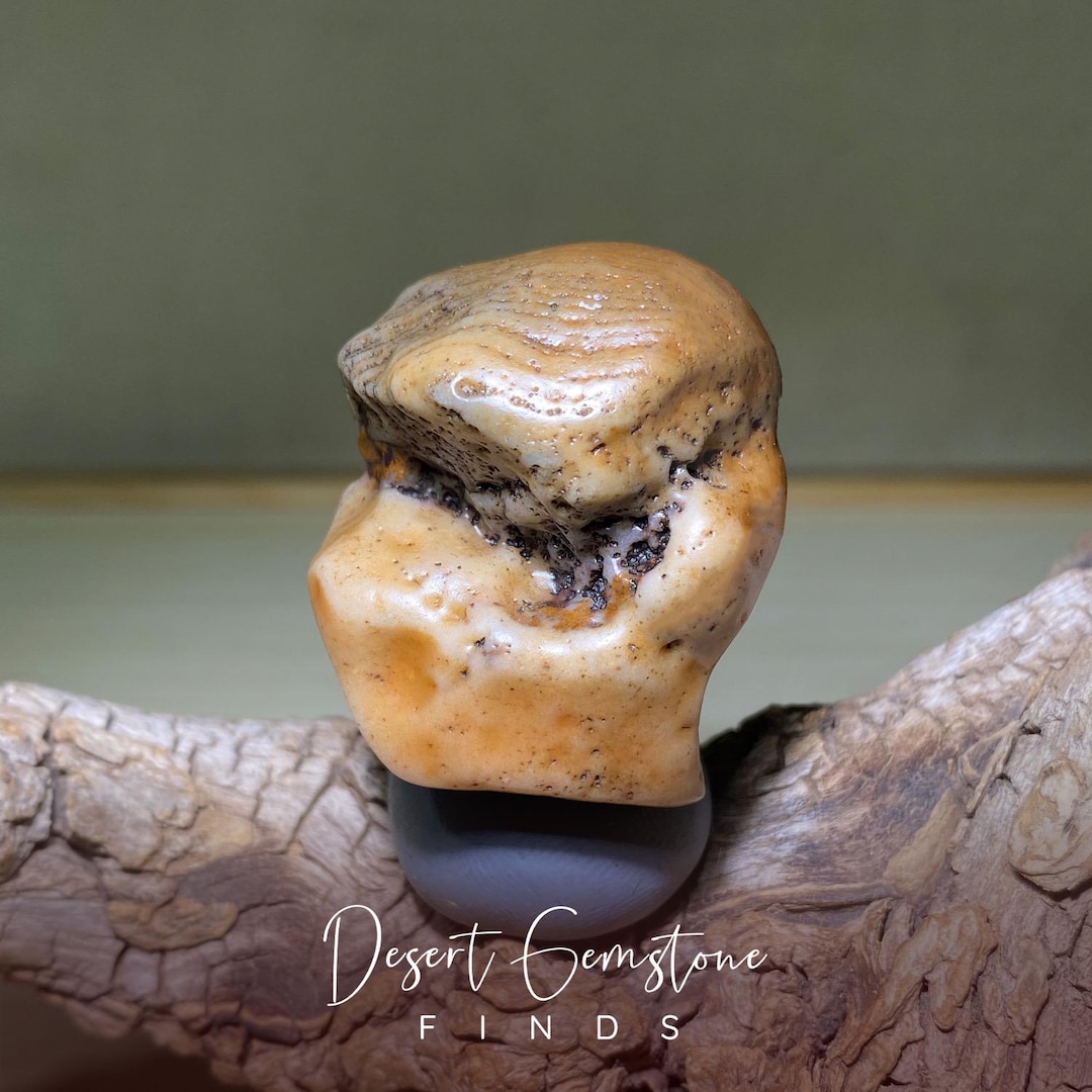 Alxa Gobi Desert Stone With Band Texture – Rare Natural Specimen With ...