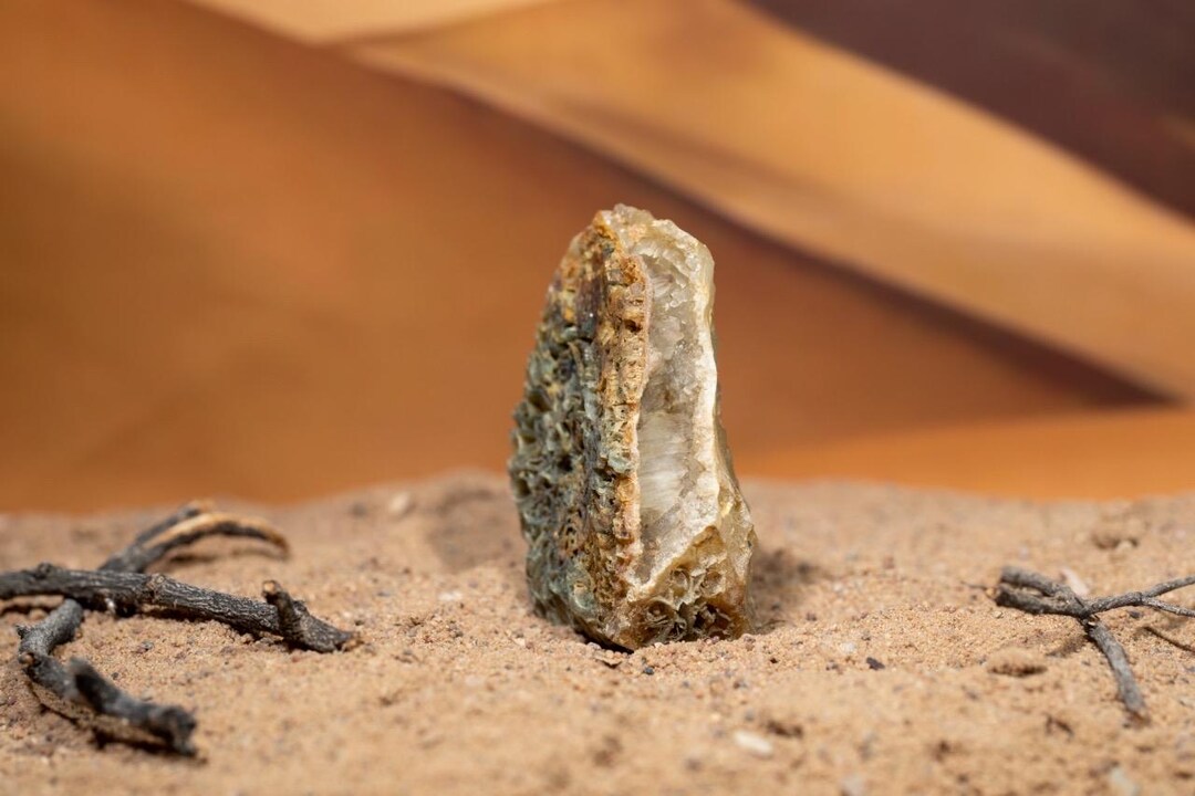 Alxa Gobi Stone – Natural and Rare Agatized Fossil Coral With Green ...