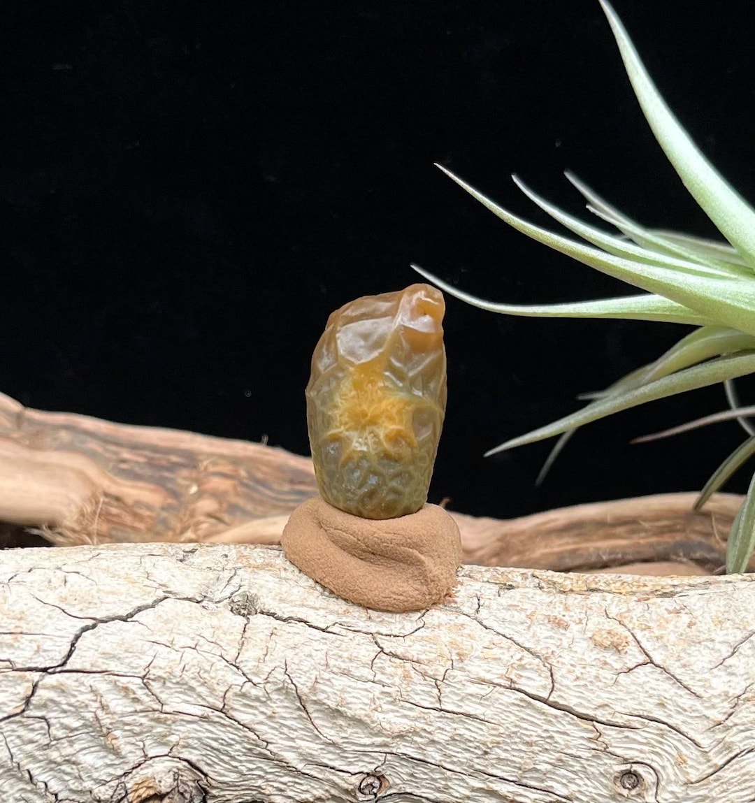 Alxa Gobi Desert Agate: Spider Web Veins, Caramel Stone - Etsy