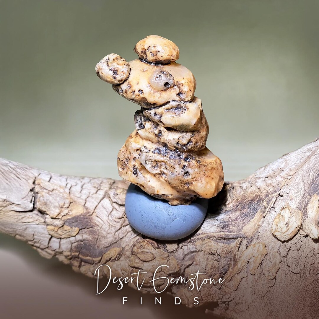 Alxa Gobi Desert Figurative Desert Lacquer Stone – Rare Natural Raw ...