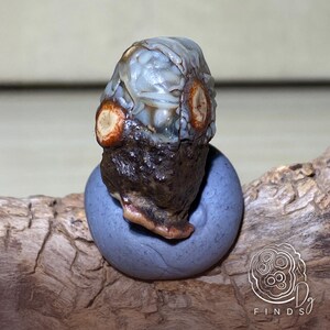 Unique Alxa Gobi Desert Agate Rare Natural Stone With Textured Surface ...