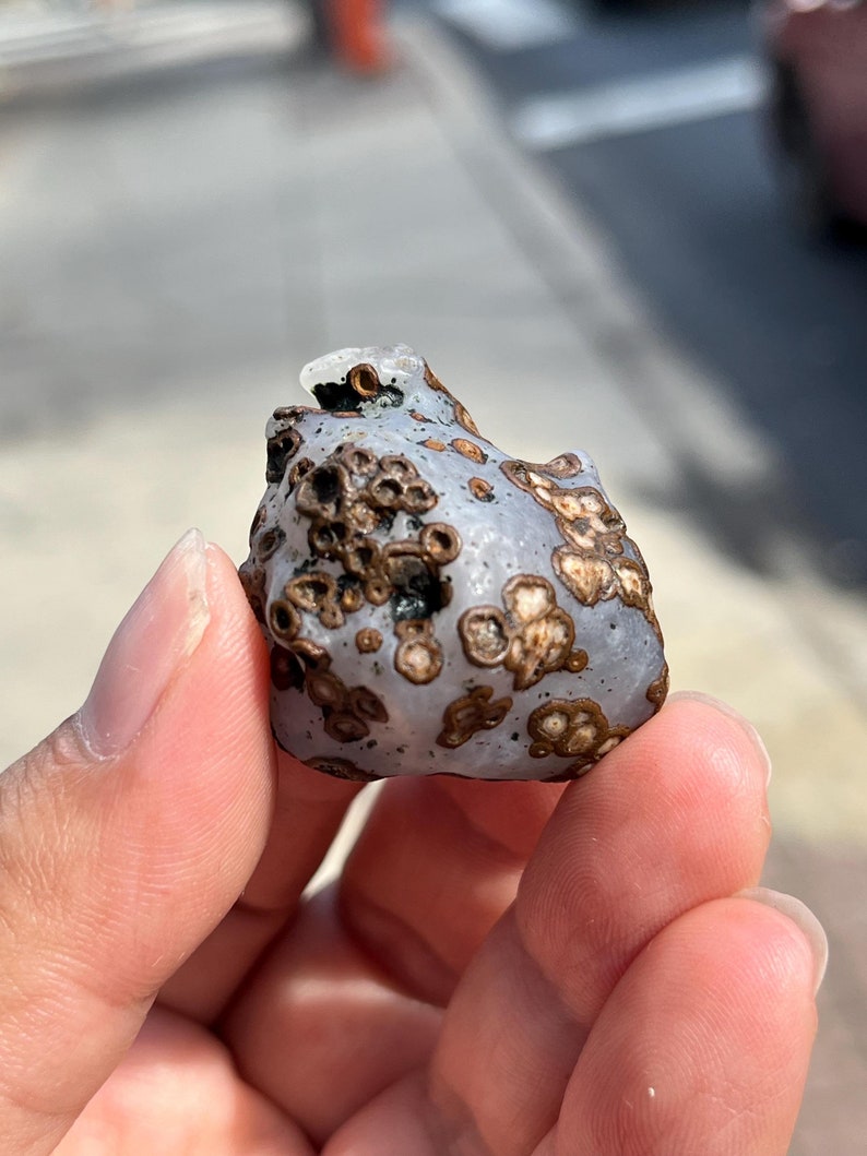 Alxa Gobi Desert Agate, Mongolian Gobi Eye Stone, Rough Eye Agate ...