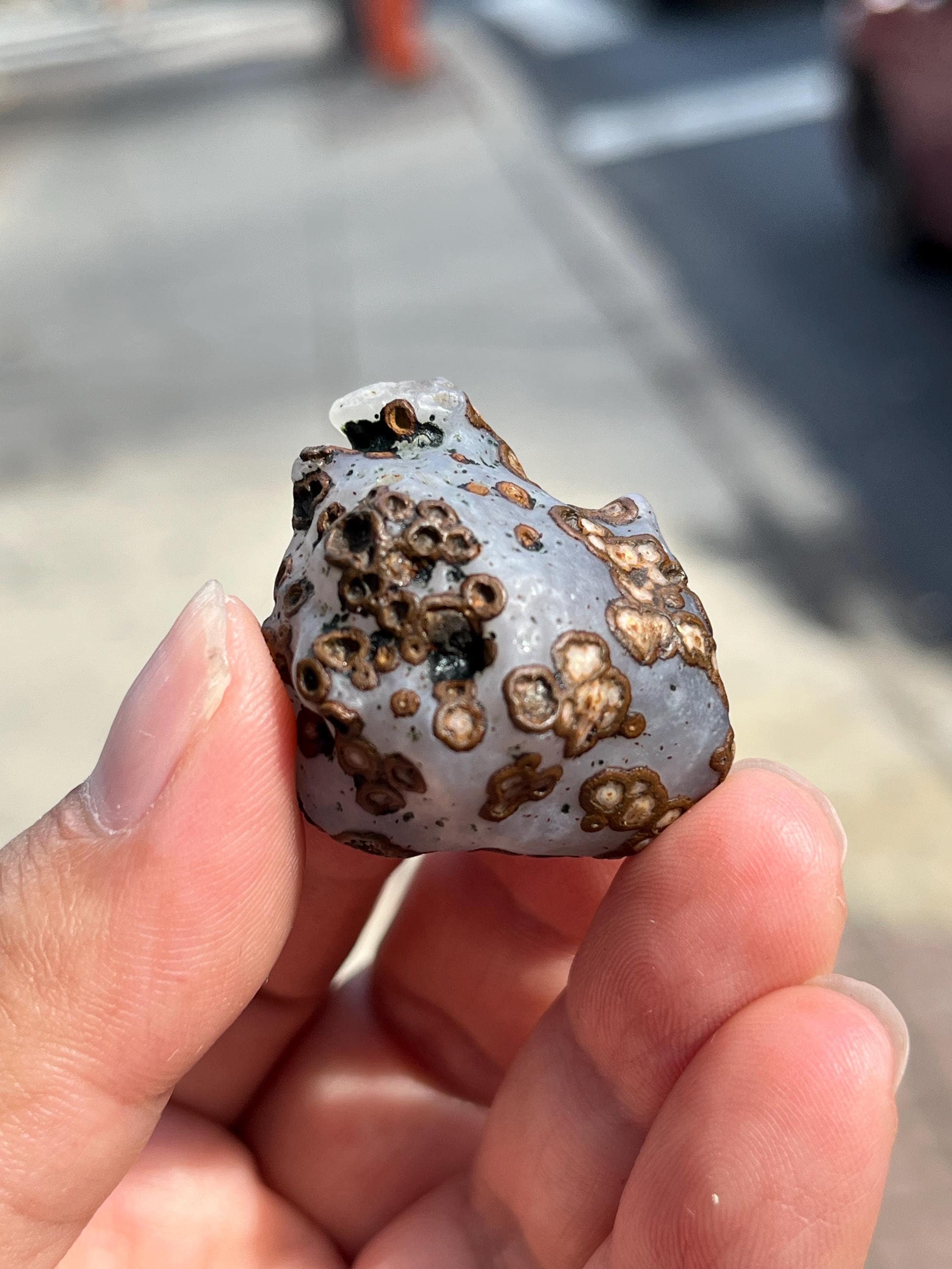 Alxa Gobi Desert Agate, Mongolian Gobi Eye Stone, Rough Eye Agate ...