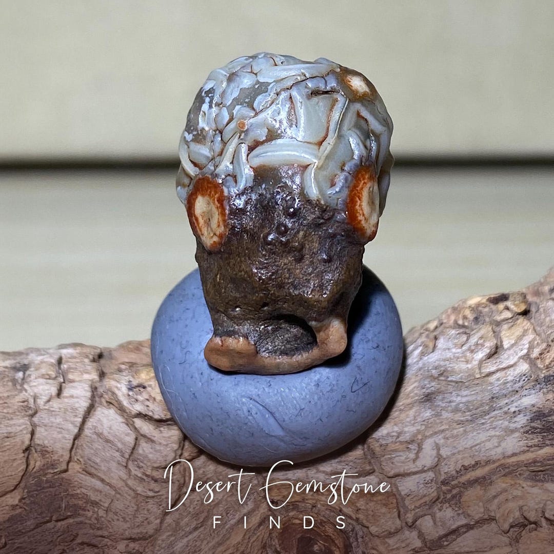 Unique Alxa Gobi Desert Agate – Rare Natural Stone With Textured ...