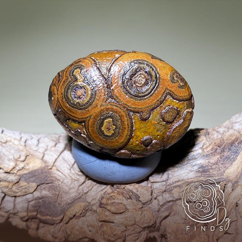 Orbicular Gobi Desert Agate: Coin Eye Pattern, Raw Mongolian Stone - Etsy