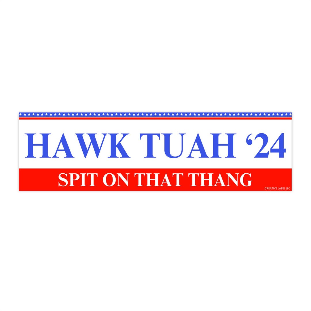 Hawk Tuah 24, Hawk Tuah Girl, 2024 Election Stickers, Funny, Political ...