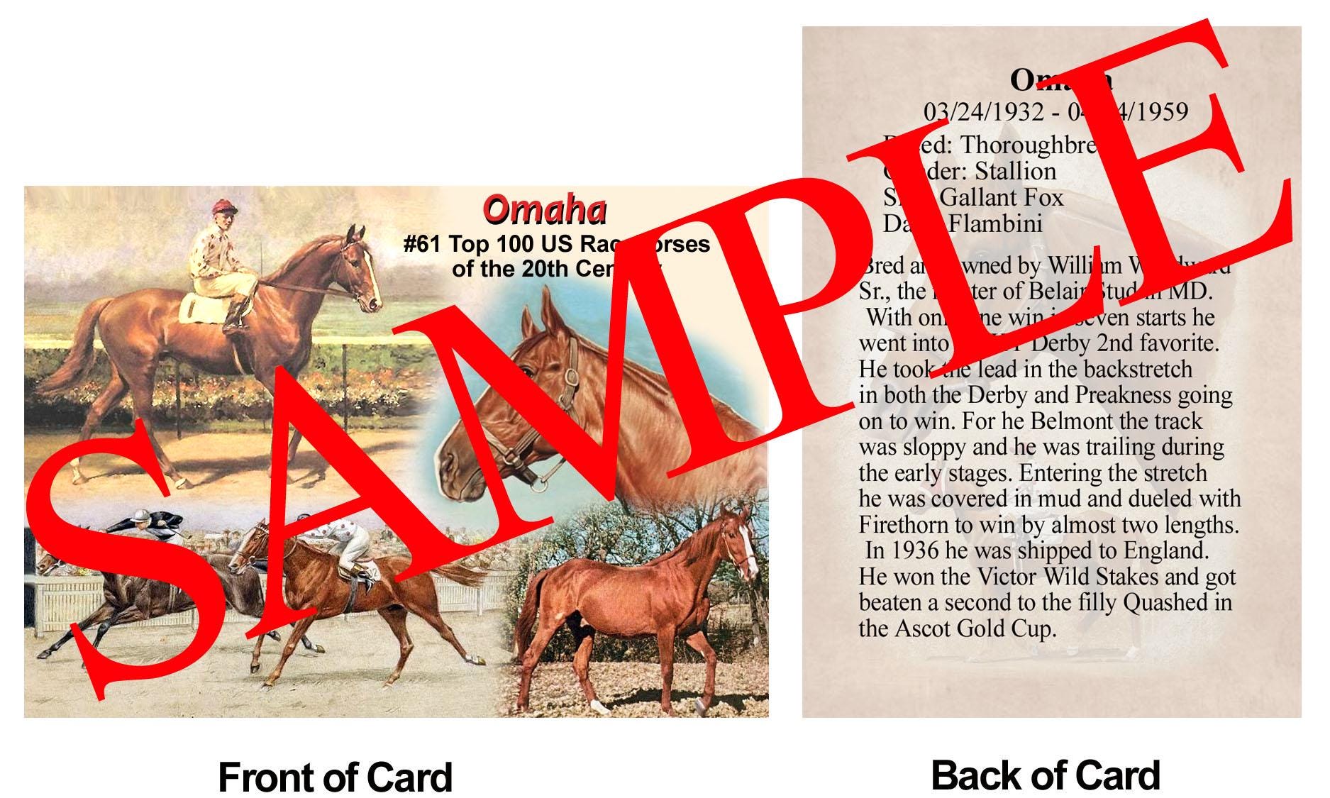 Omaha Race Horse Trading Card #61 Top 100 US Racehorses of the 20th ...