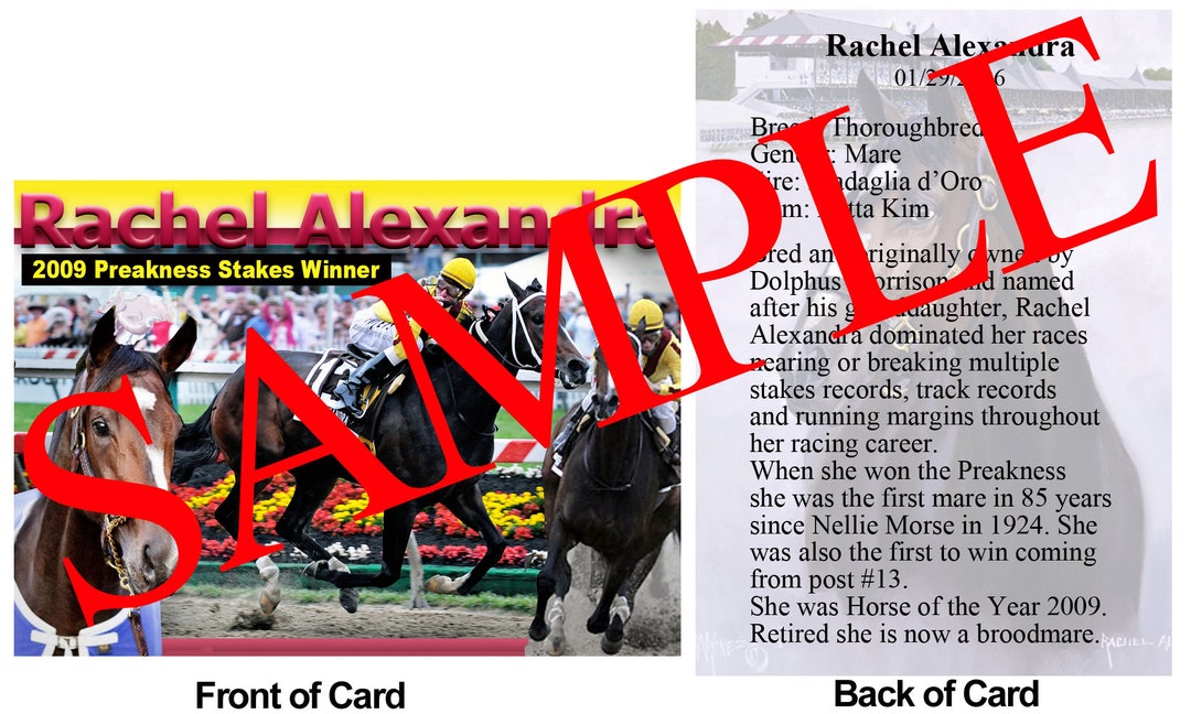 Rachel Alexandra Race Horse Trading Card 2009 Preakness Stakes Winner ...
