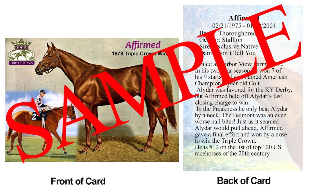 Affirmed Race Horse Trading Triple Crown Winner Showing Kentucky Derby ...