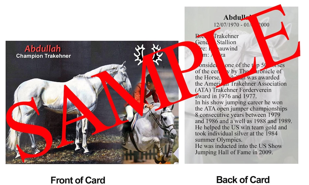 Abdullah Champion Trakehner Horse Trading Card - Etsy