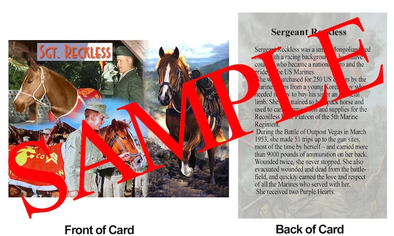 Sergeant Reckless Horse Trading Card Horses in History Series - Etsy