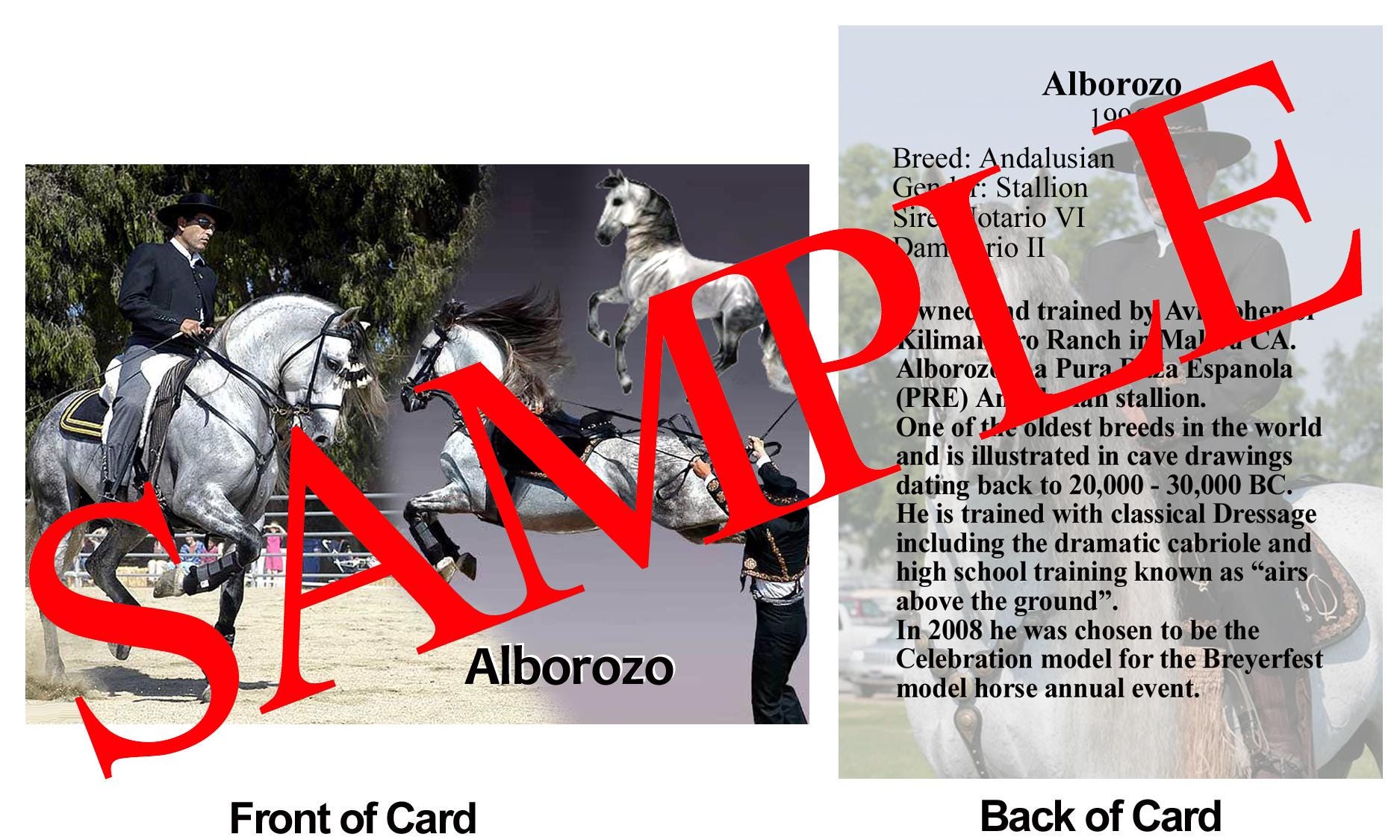 Alborozo Horse Trading Card Andalusian Horse - Etsy