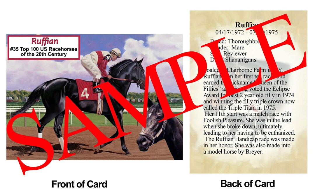 Ruffian Race Horse Trading Card #35 Top 100 US Racehorses of the 20th ...