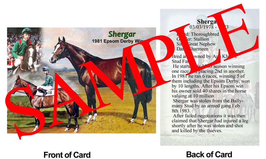Shergar Race Horse Trading Card 1981 Epsom Derby Winner - Etsy