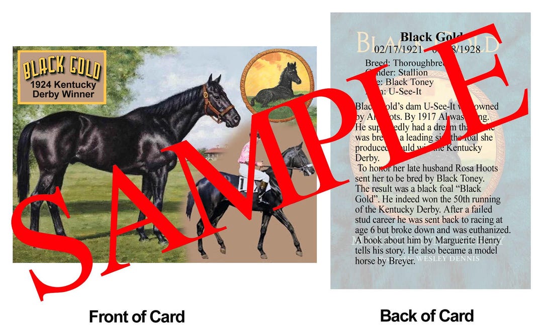 Black Gold Race Horse Trading Card 1924 Kentucky Derby Winner Racehorse ...