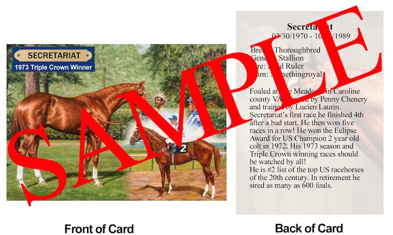 Secretariat Race Horse Trading Card 1973 Belmont Stakes Winner - Etsy