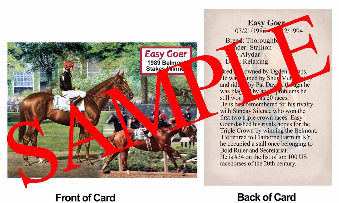 Easy Goer Race Horse Trading Card 1989 Belmont Stakes Winner - Etsy