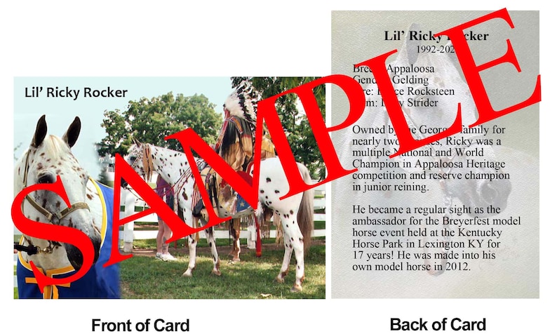 Lil' Ricky Rocker Appaloosa Horse Champion - Etsy