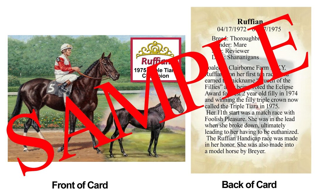 Ruffian Race Horse Trading Card 1975 Triple Tiara Champion Racehorse - Etsy