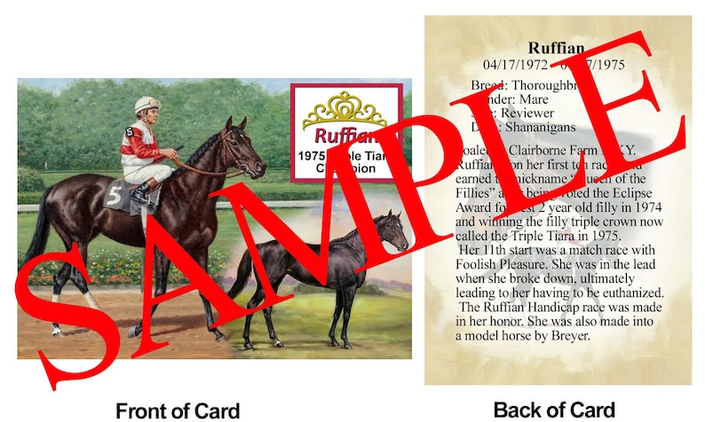 Ruffian Race Horse Trading Card 1975 Triple Tiara Champion Racehorse - Etsy
