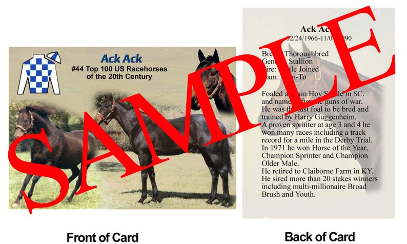 Ack Ack Race Horse Trading Card #44 Top 100 US Racehorses of the 20th ...