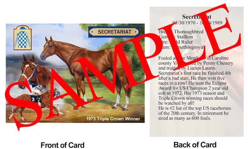 Secretariat Race Horse Trading Card 1973 Preakness Stakes Winner - Etsy
