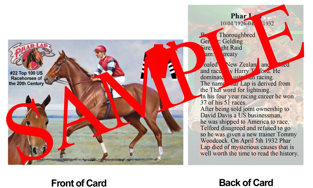 Phar Lap Race Horse Trading Card #22 Top 100 US Racehorses of the 20th ...