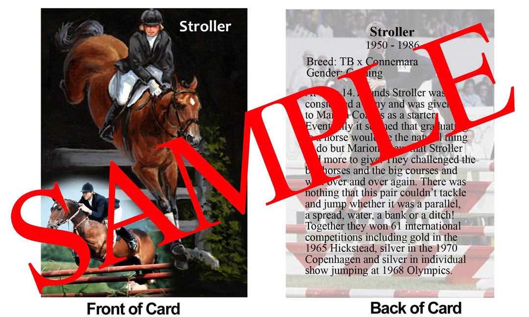 Stroller Horse Trading Card Famous Show Jumping Pony - Etsy