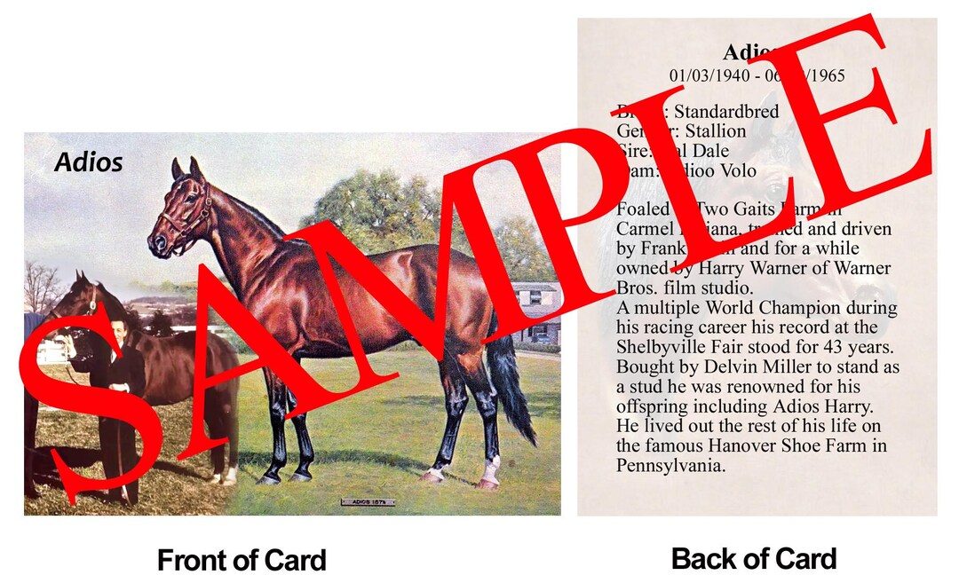 Adios Race Horse Trading Card Adios Famous Standardbred Racehorse - Etsy