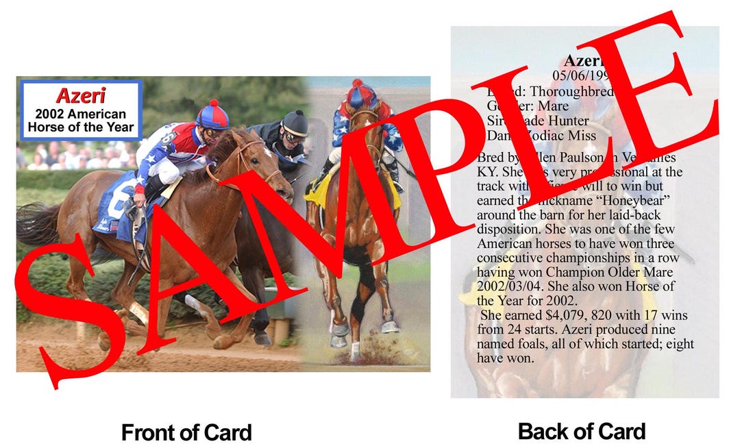 Azeri Race Horse Trading Card 2002 American Horse of the Year Racehorse ...