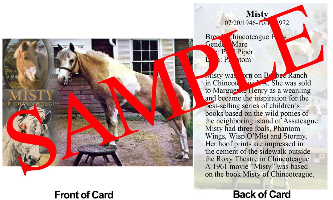 Misty of Chincoteague Trading Card - Etsy