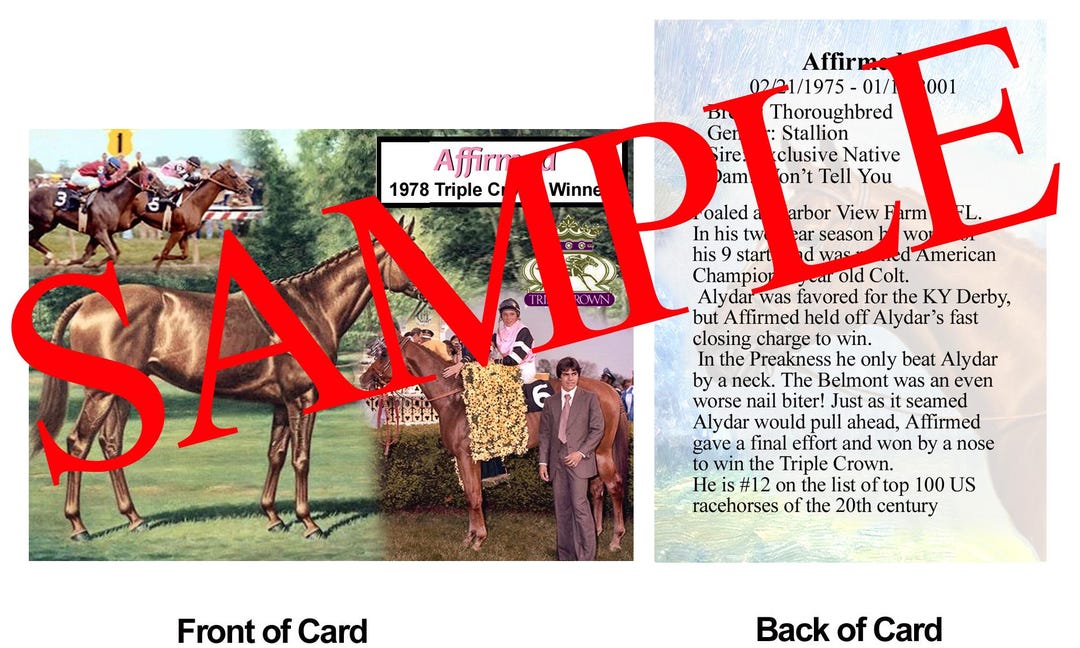 Affirmed Race Horse Trading Card Triple Crown Winner Showing Preakness ...