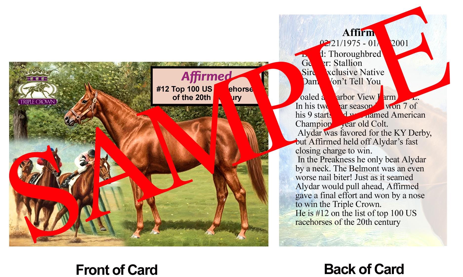 Affirmed Race Horse Trading Card #12 Top 100 US Racehorses of the 20th ...