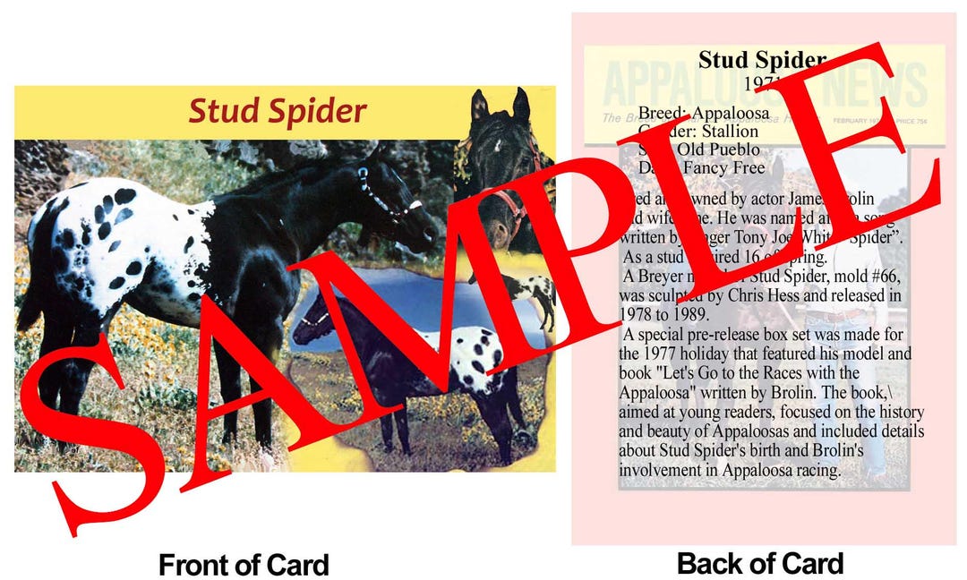 Stud Spider Appaloosa Horse Trading Card - Etsy